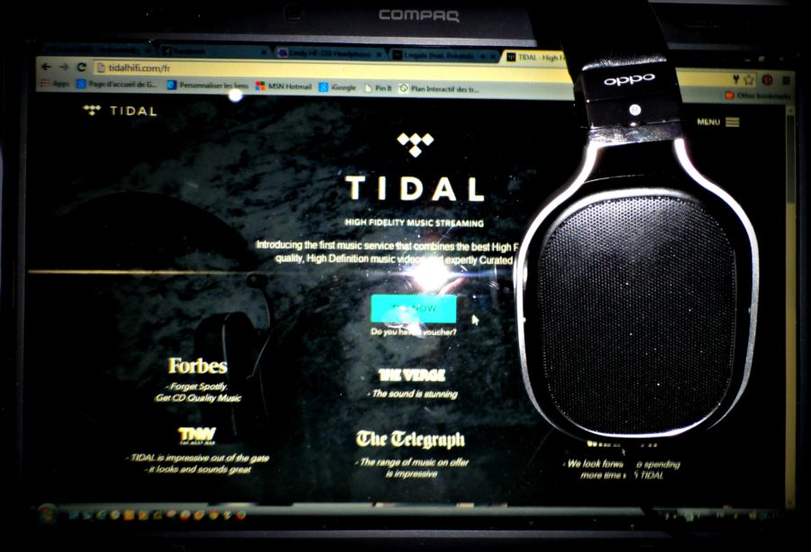 Tidal Music Streaming Service Review | Hifi Pig