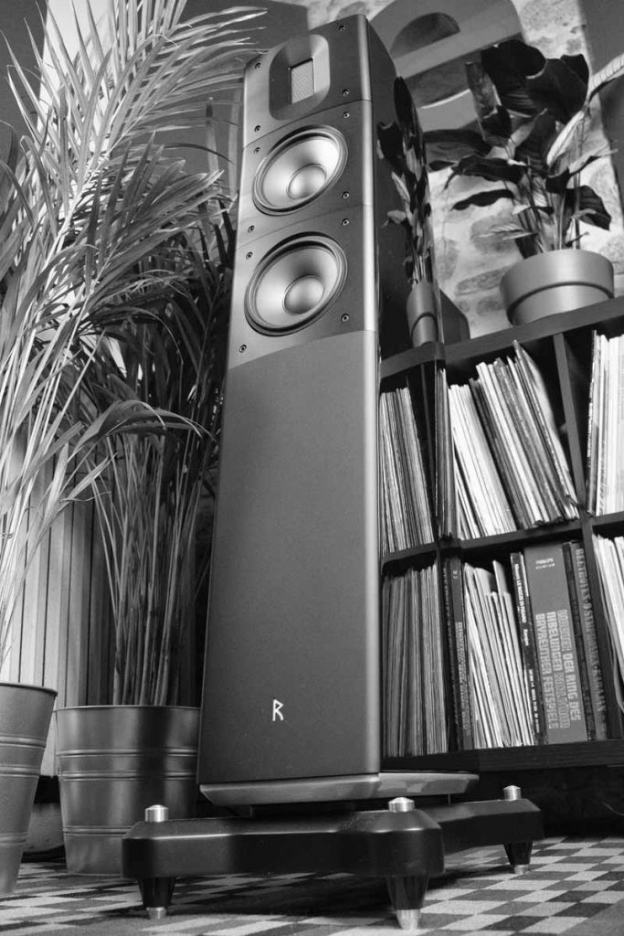 Raidho TD 2.2 Loudspeakers | Hifi Pig