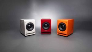 Wilson Audio LoKe Subwoofer | Hifi Pig