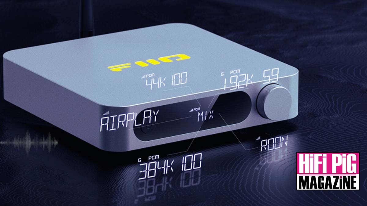 FiiO SR11 Desktop Streamer | Hifi Pig