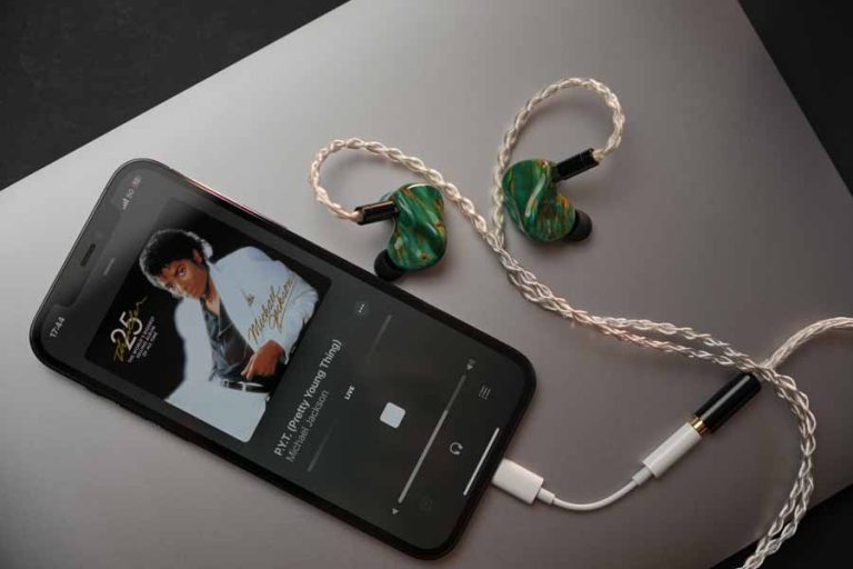 Zeitgeist Germany Artisan And Whisky IEMs – Hifi Pig