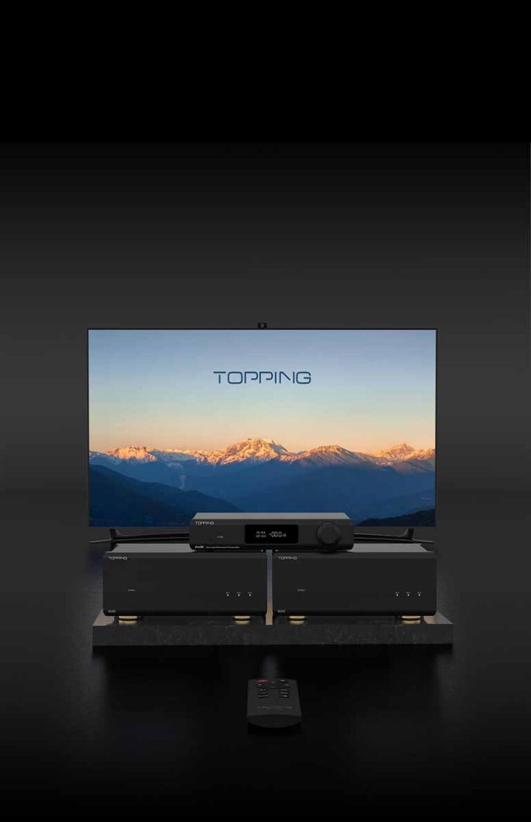 Topping B100 And Topping B200 Mono Amplifiers – Hifi Pig