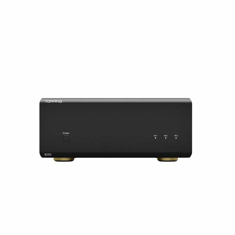 Topping B100 And Topping B200 Mono Amplifiers – Hifi Pig
