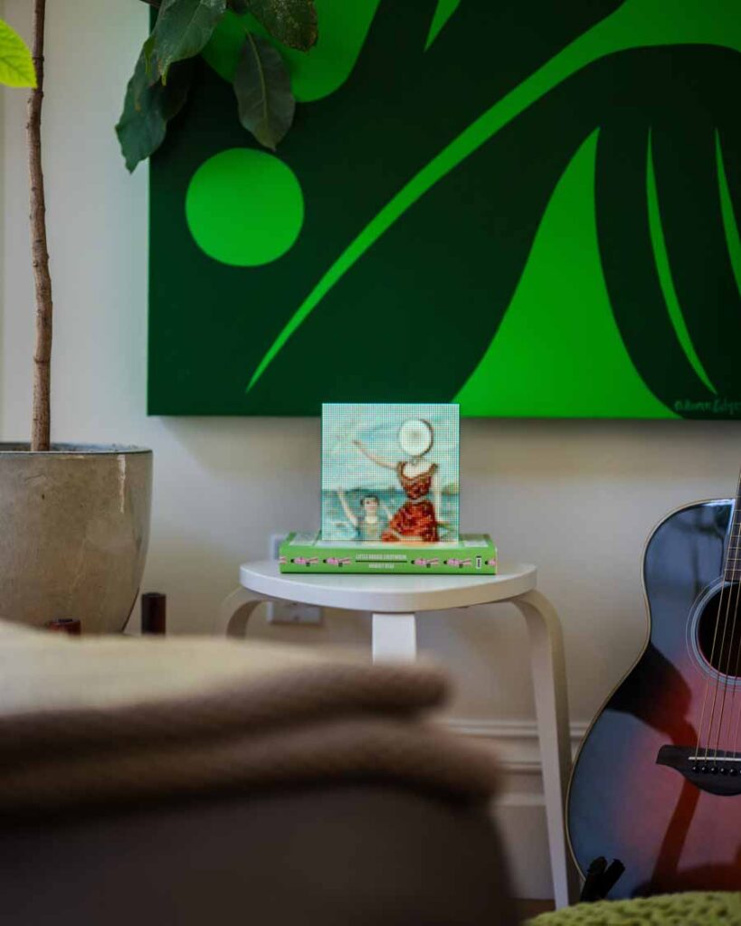 Tuneshine LED Music Display – Hifi Pig